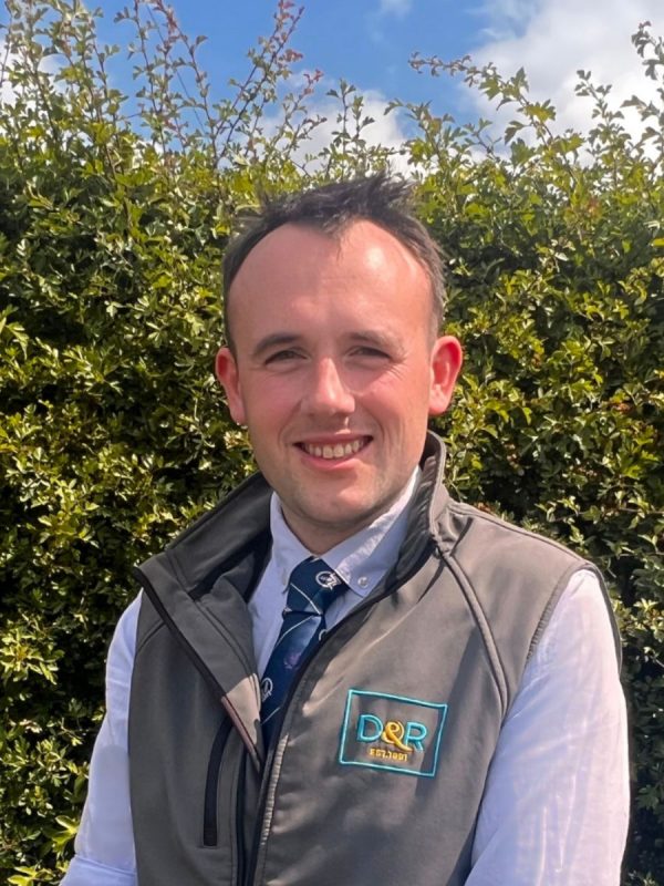 Team Archive - Davidson and Robertson