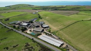 Search results - Davidson and Robertson