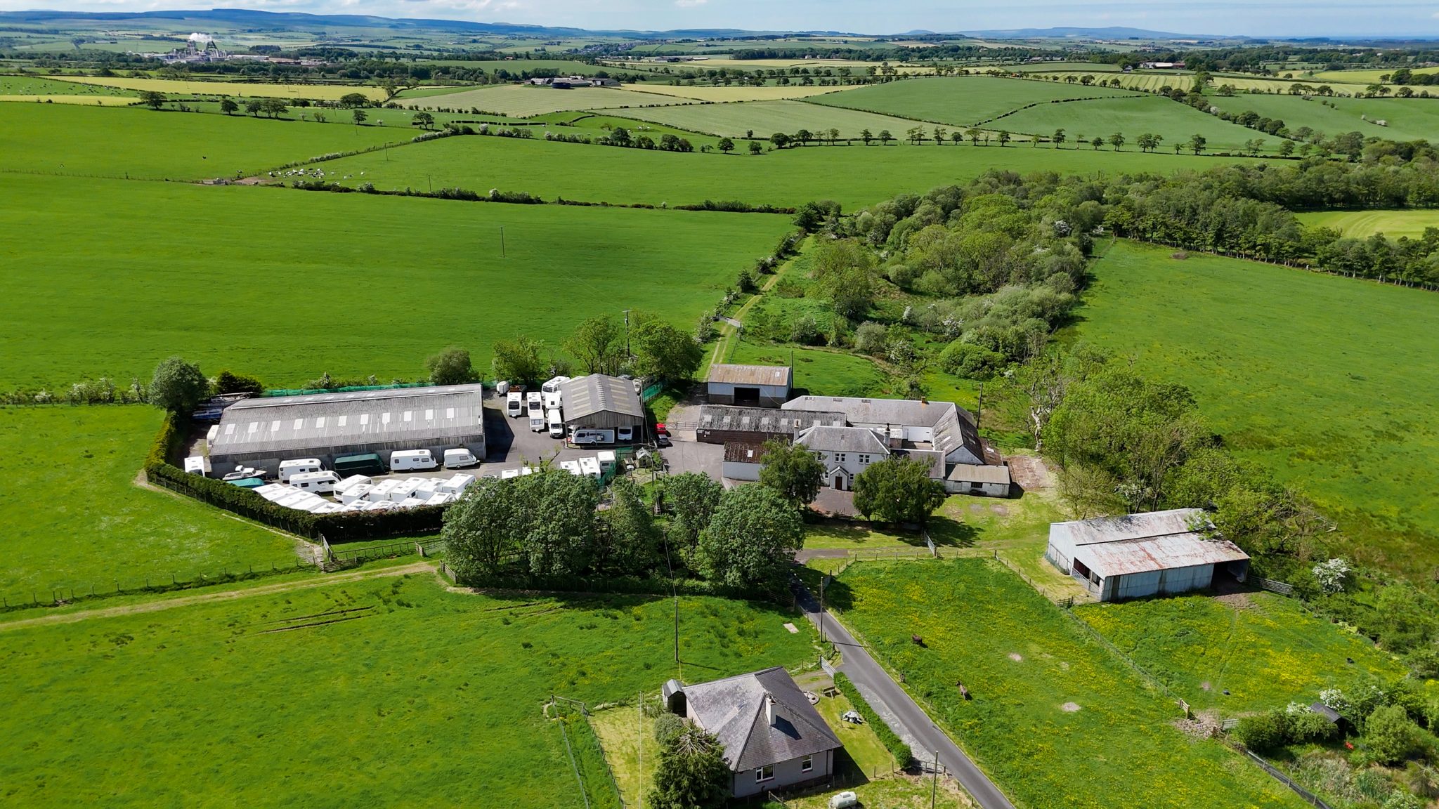 Search results - Davidson and Robertson