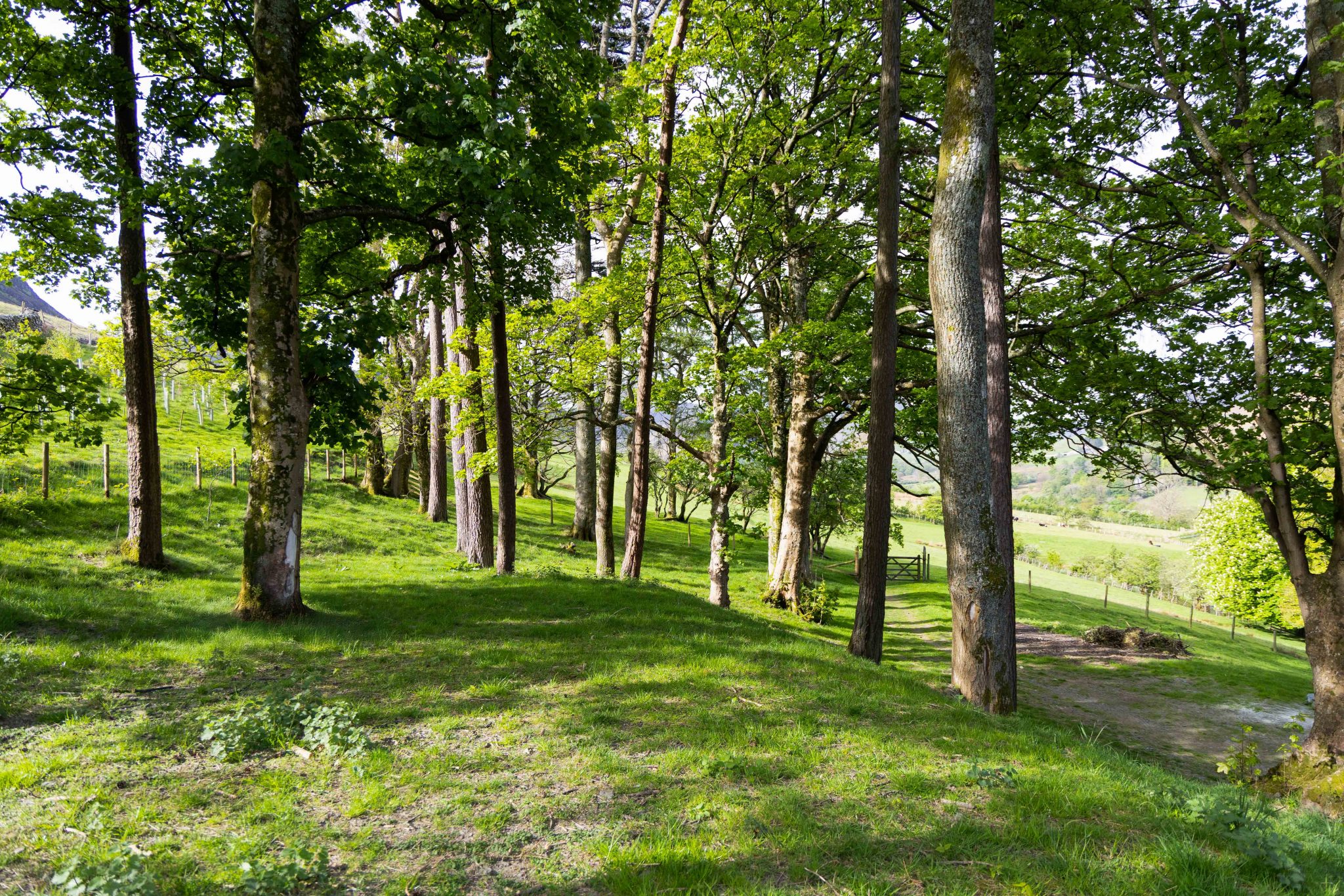 Skelgill Farm - Davidson and Robertson